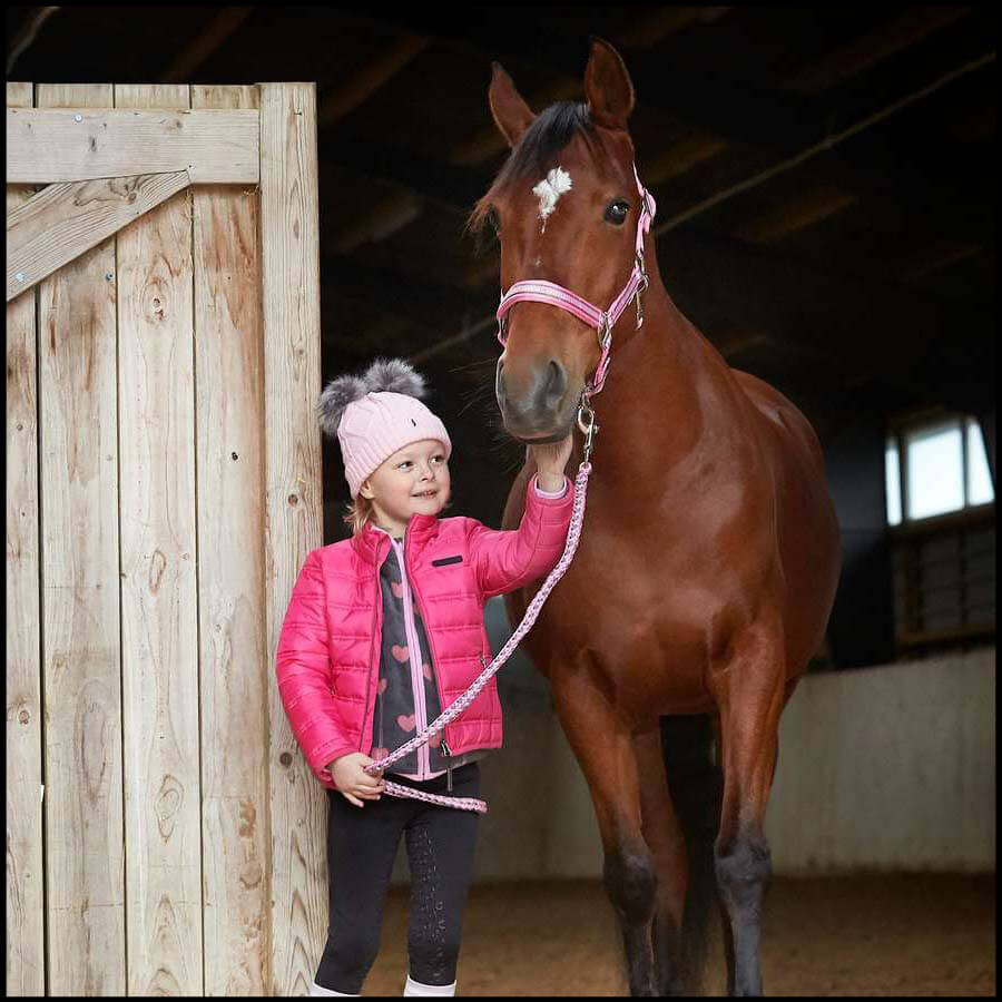 Outlet - Hest | Loppetjansen