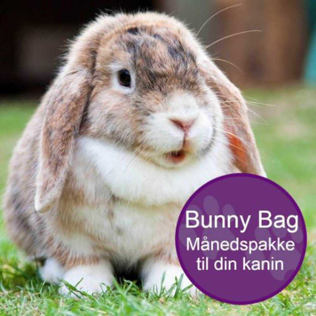 Bunny Bag - Månedspakken til din kanin* | Loppetjansen - Alt til kæledyr