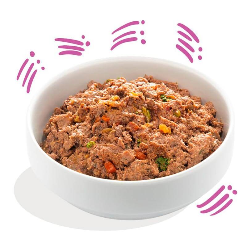 Edgard Cooper Pate Adult Game and Duck 300g | Loppetjansen - Alt til ...